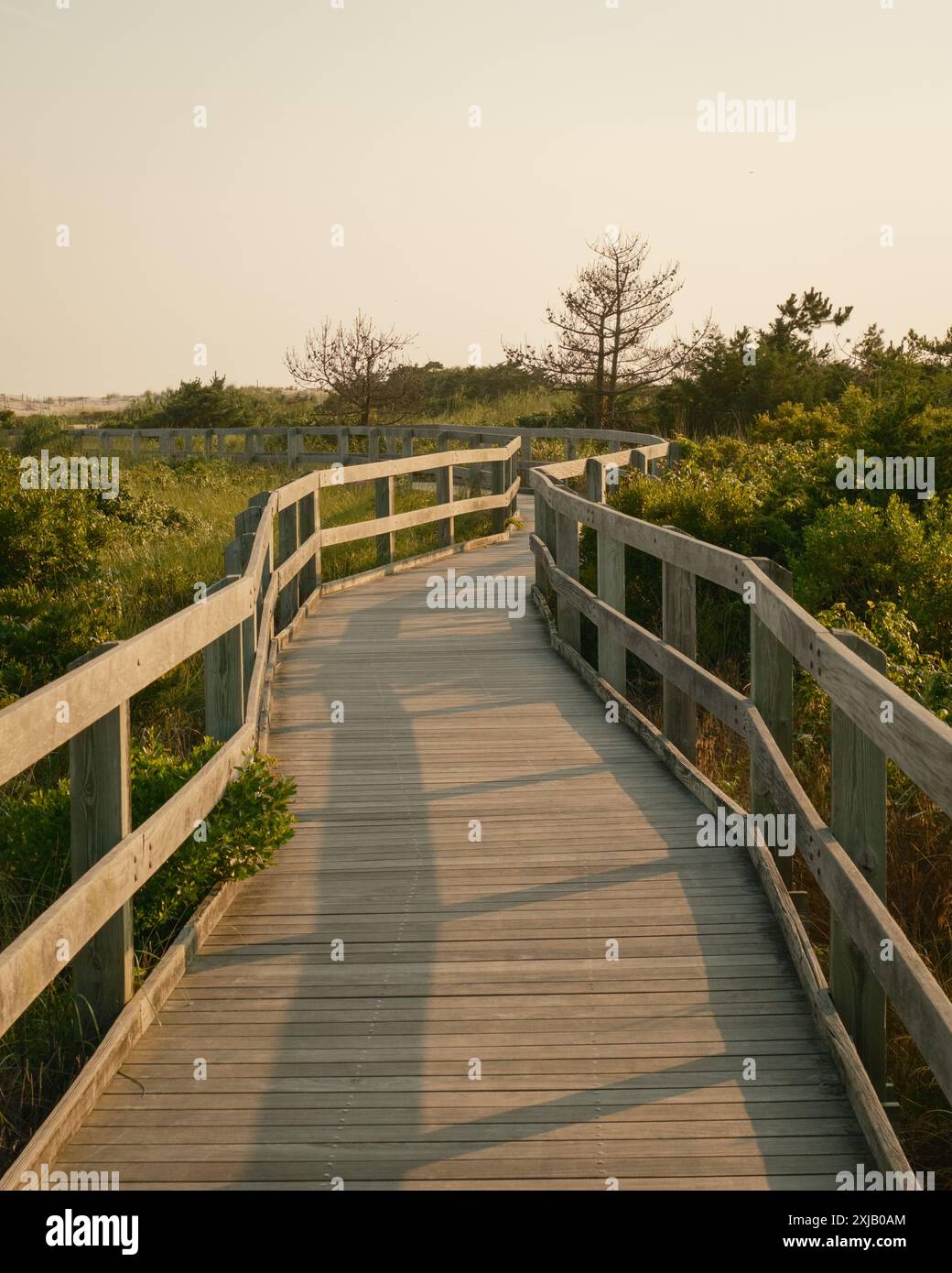 Boardwalk trail at Fire Island, New York Stock Photo - Alamy
