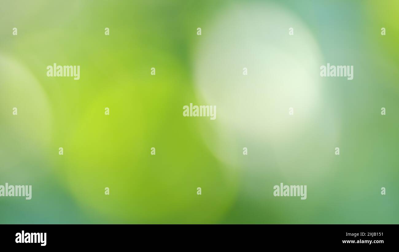 Blur. Green foliage of the forest. Defocused blur texture of tree with ...