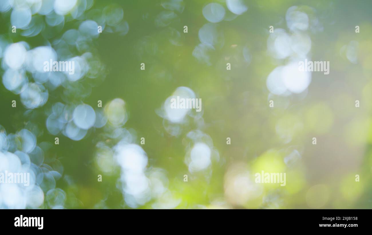 Blur background nature scene hi-res stock photography and images - Alamy