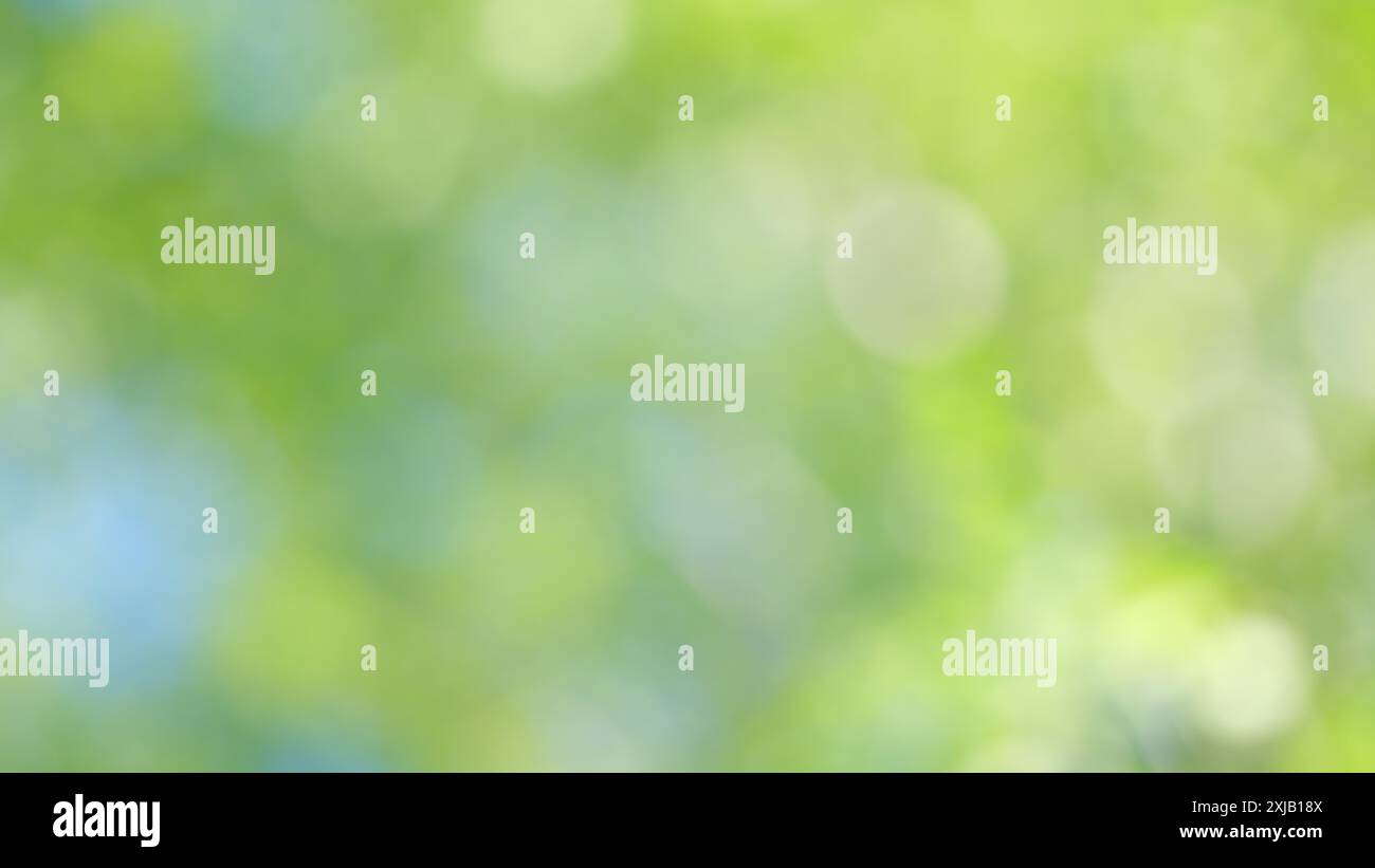 Blur. Beautiful sun shine through the blowing on wind tree green leaves ...