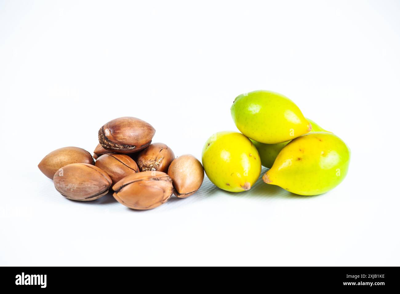 Moroccan argan seeds Stock Photo - Alamy