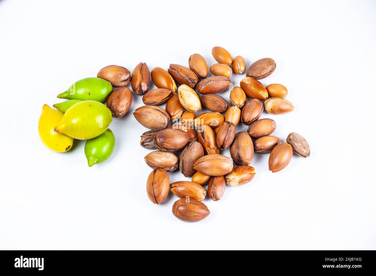 Argan tree seed hi-res stock photography and images - Alamy