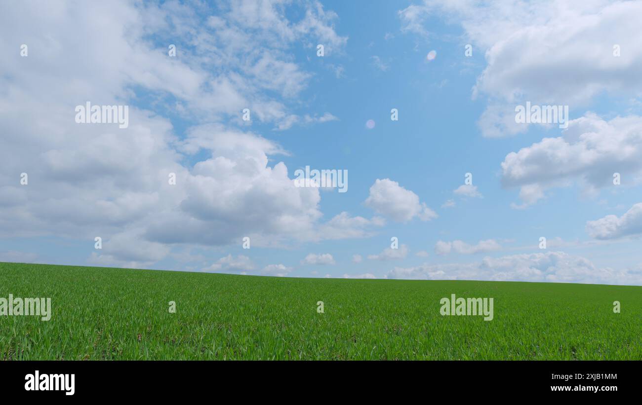 Pan. Agriculuture farm in countryside. Beautiful fresh green grass ...