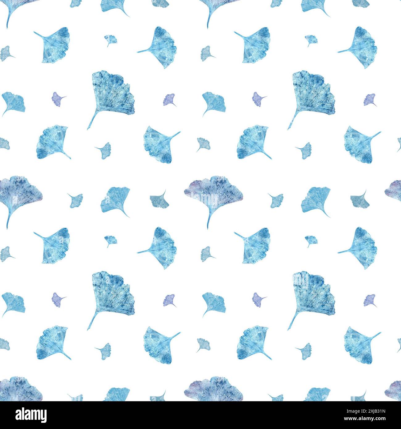 Top view ginkgo tree isolated hi-res stock photography and images - Alamy