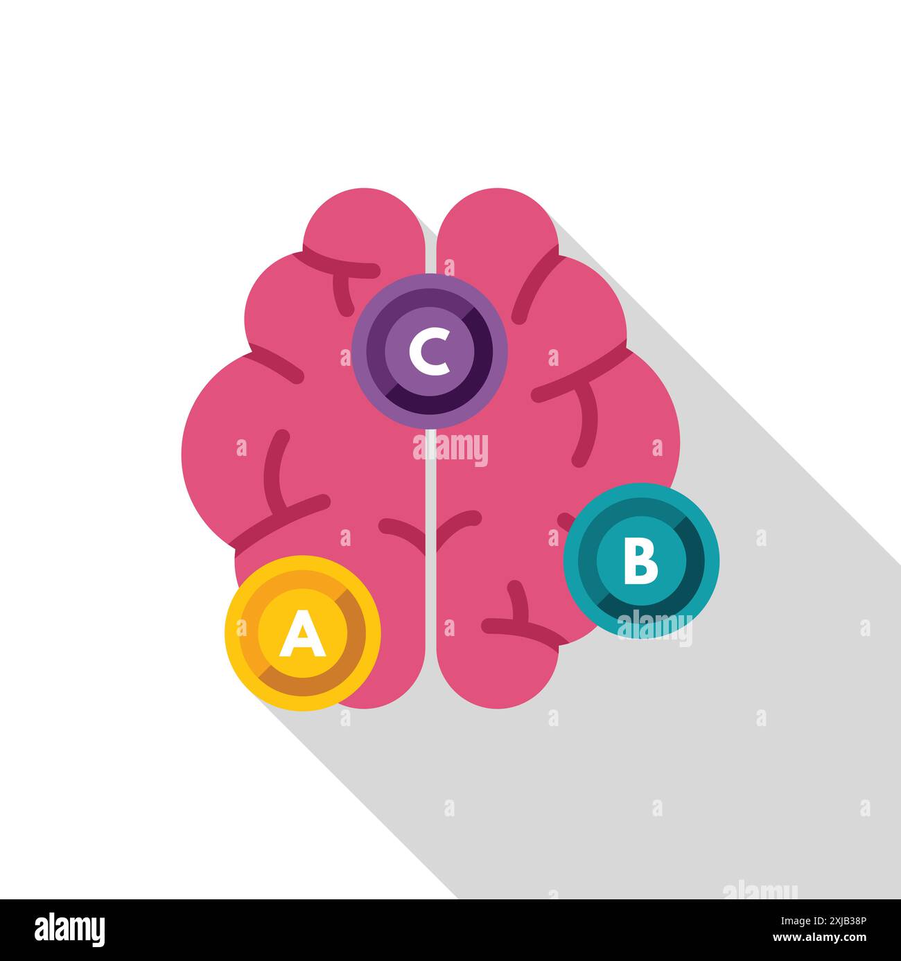 Human brain with three colorful buttons, illustrating the concept of ...
