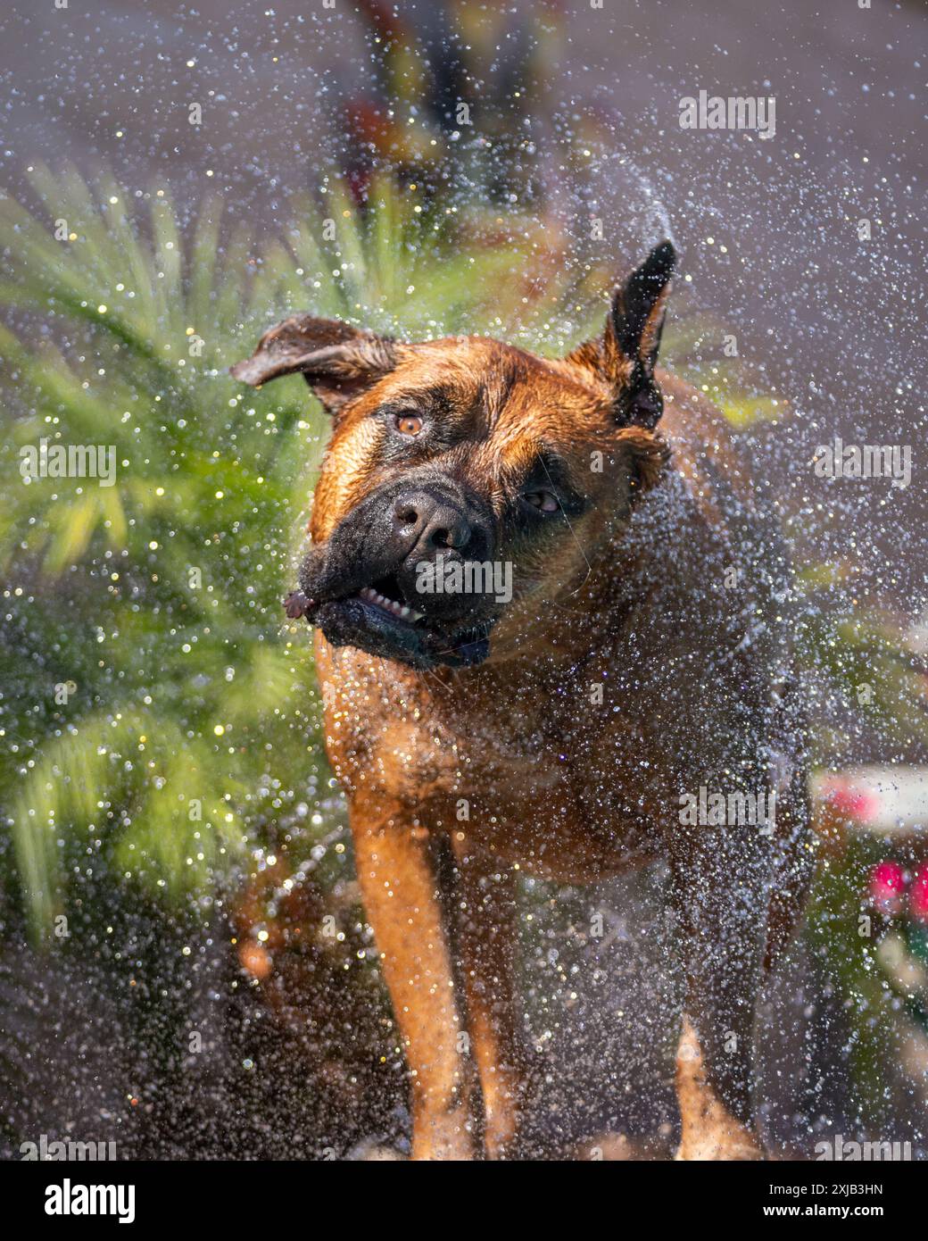Family getting some exercise hi-res stock photography and images - Alamy