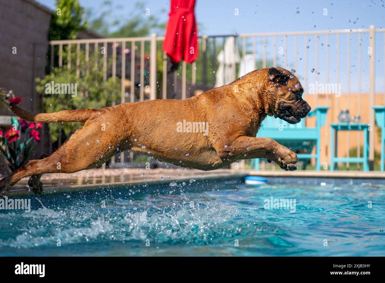 Family edge swimming pool hi-res stock photography and images - Alamy