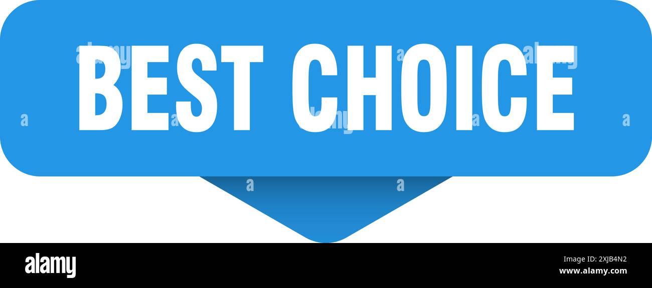 best choice sticker. best choice sign on transparent background ...