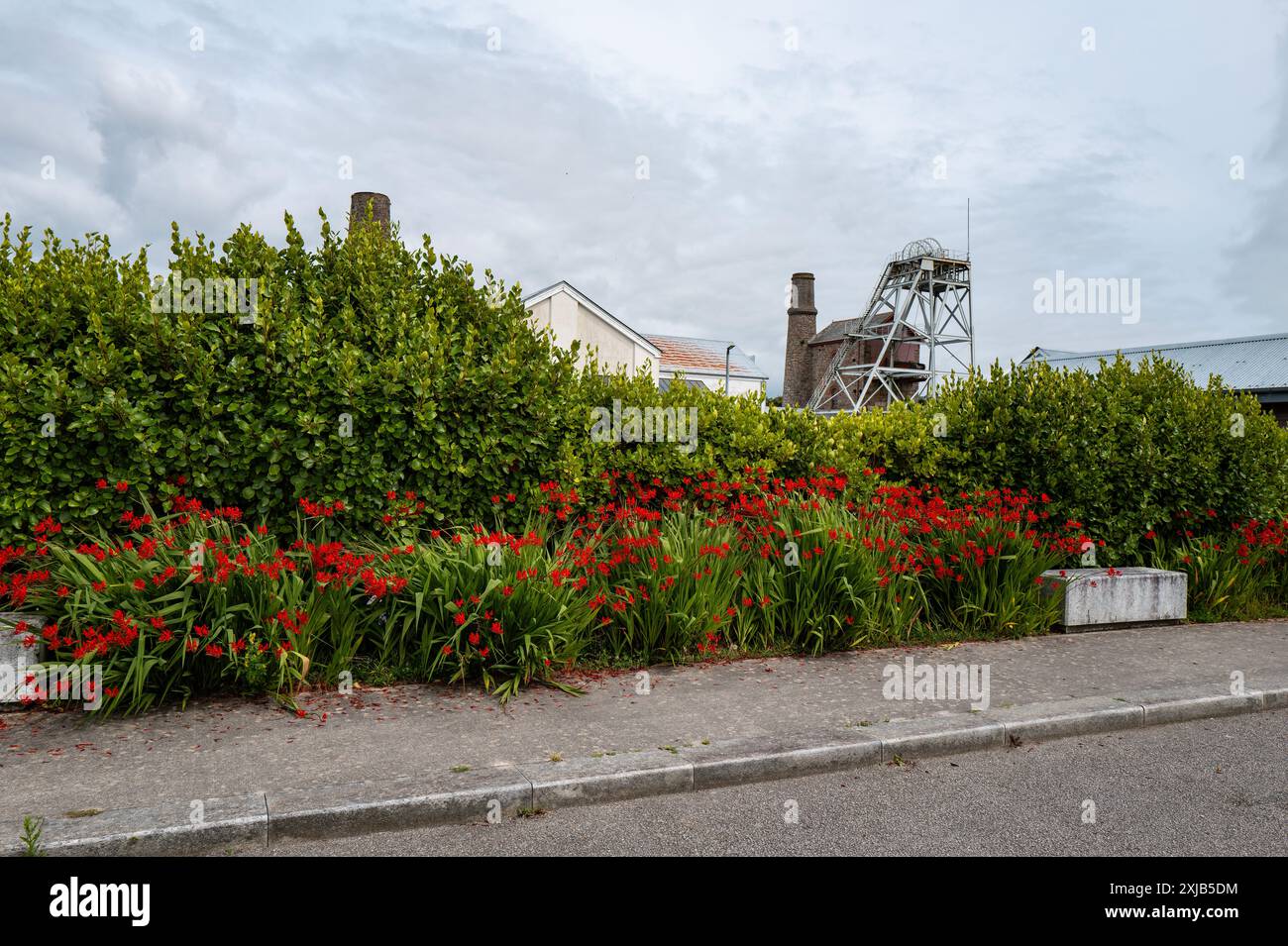 HEARTLANDS POOL CAMBORNE WORLD HERITAGE SITE MINING ENGINE HOUSE Stock ...