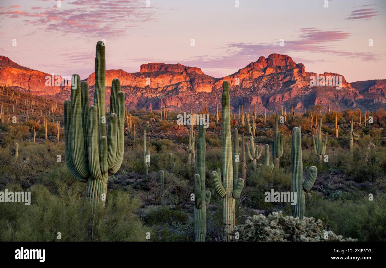 Superstition Wilderness Area, Arizona Stock Photo - Alamy