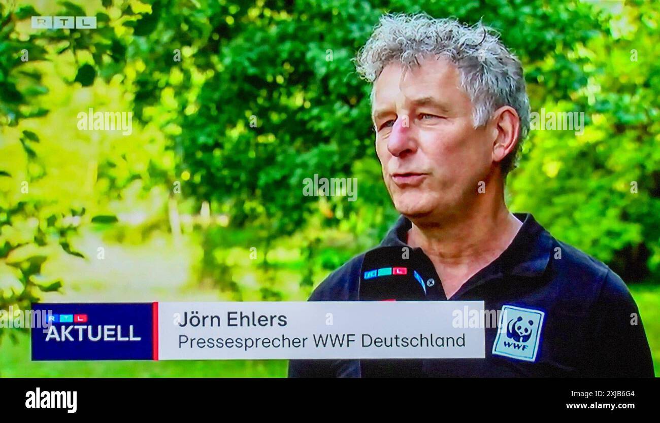Jörn Ehlers Pressesprecher WWF Deutschland - hier im RTL Aktuell ...