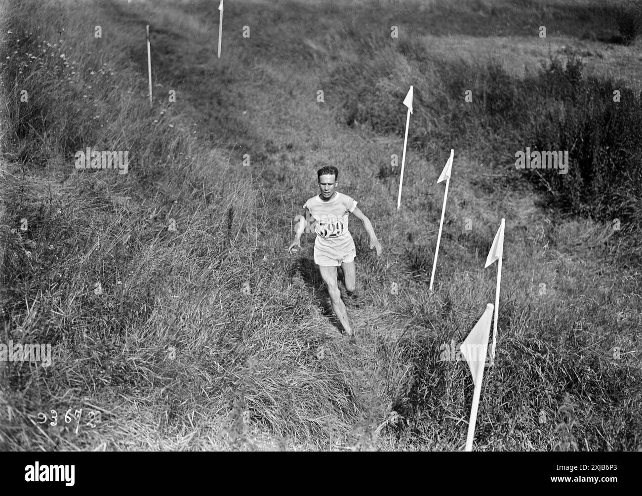 Cross country olympic hi-res stock photography and images - Alamy
