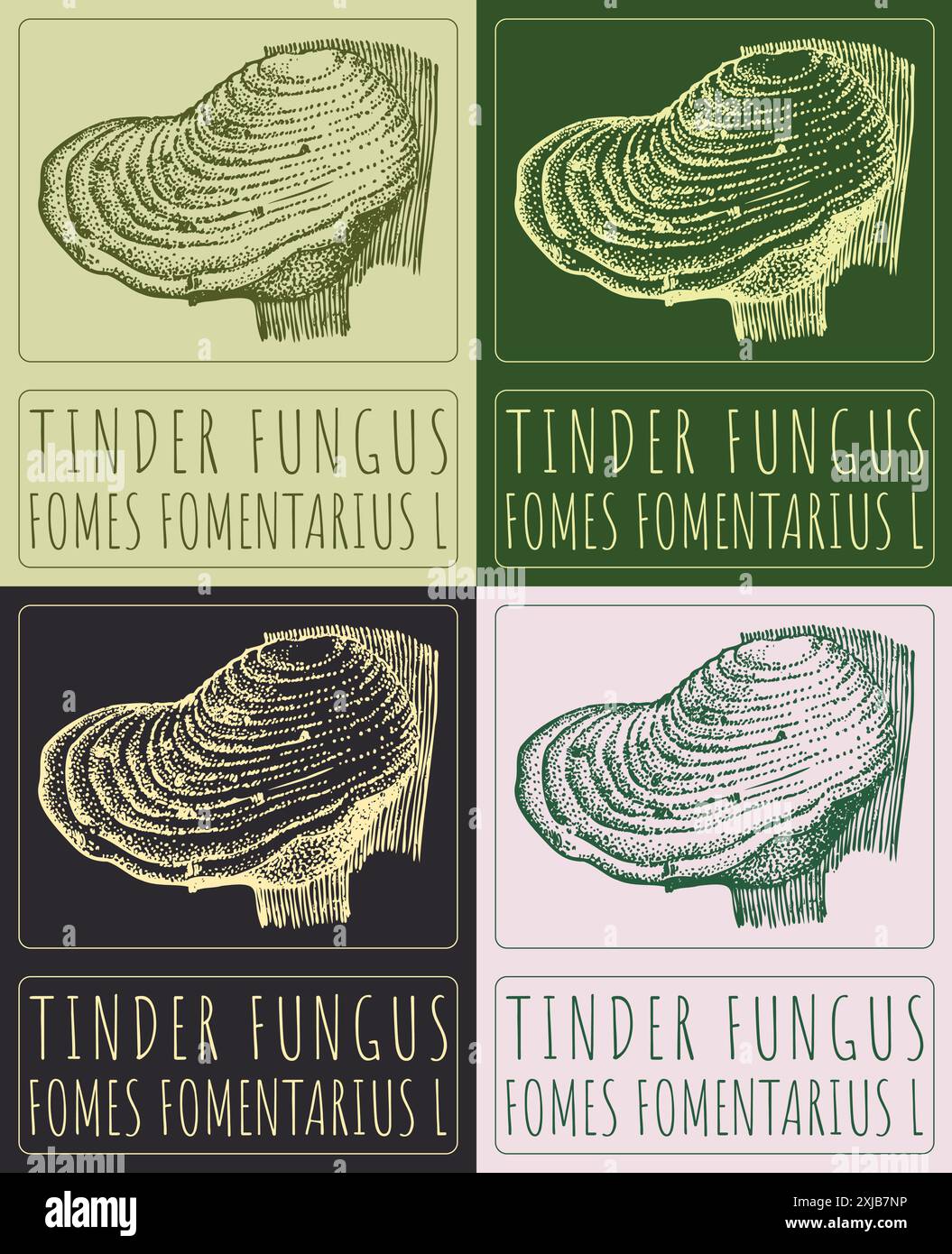 Fungus in ice Stock Vector Images - Alamy