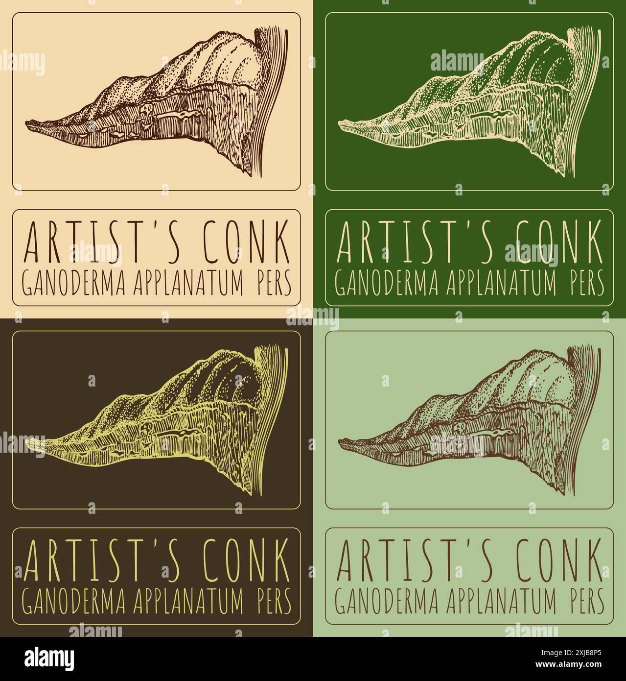 Set of vector drawing ARTIST'S CONK in various colors. Hand drawn ...