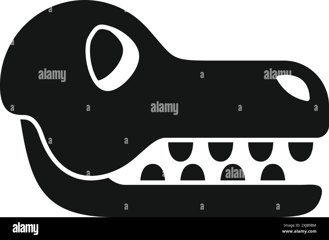 Alligator skull fossil showing teeth and eye socket Stock Vector Image ...