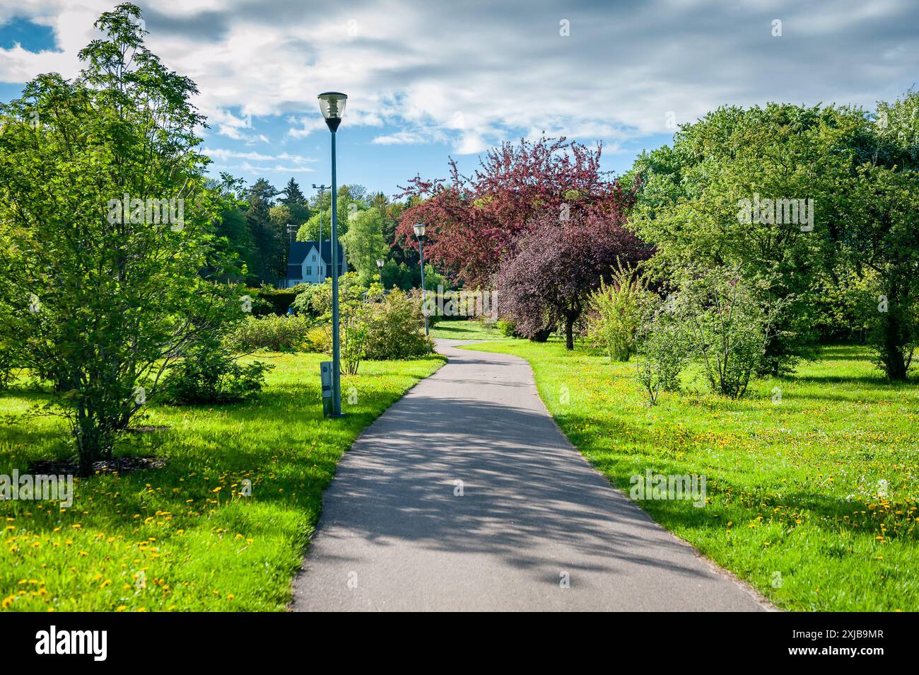Peaceful pathway leading through a botanical garden filled with lush ...