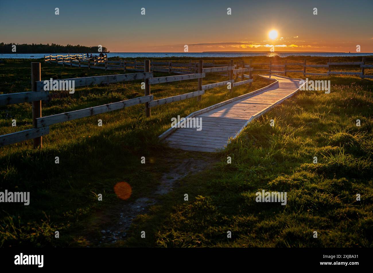 Conservation area, environment and ecology concept - wooden path on ...