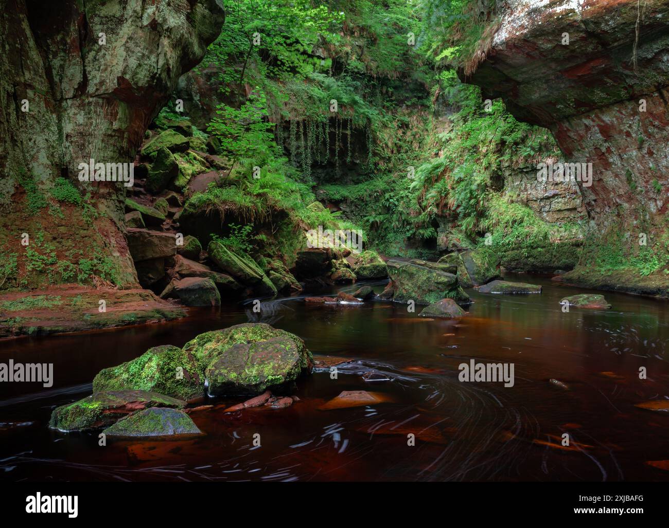 Long exposure image of Devil's Pulpit gorge in Finnich Glen, Scotland ...