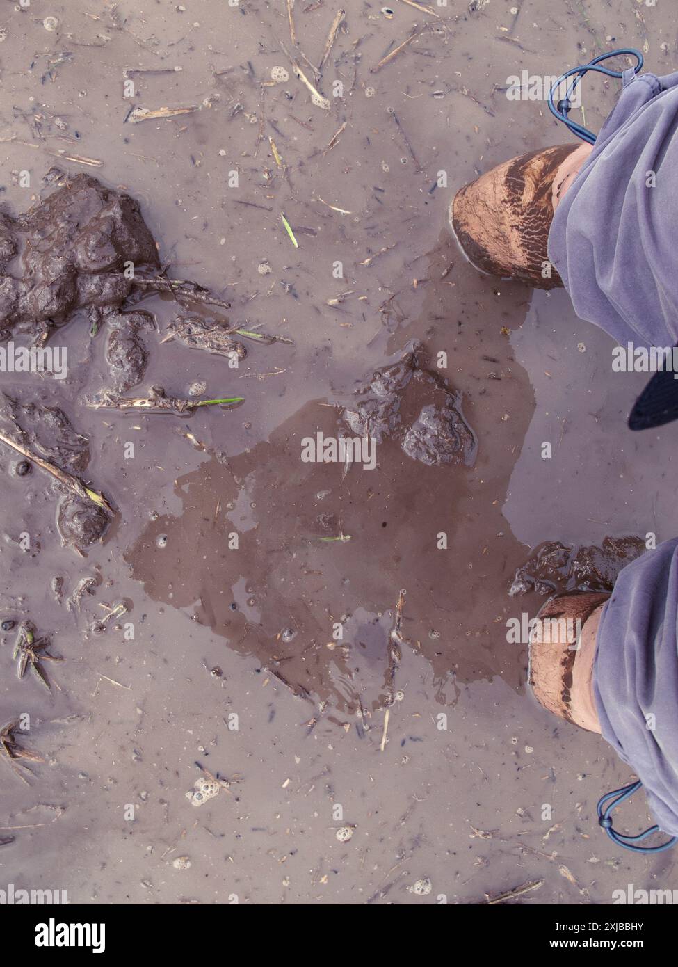 23 December 2010, Bogor, Indonesia: Feet immersed in the mud of a will ...