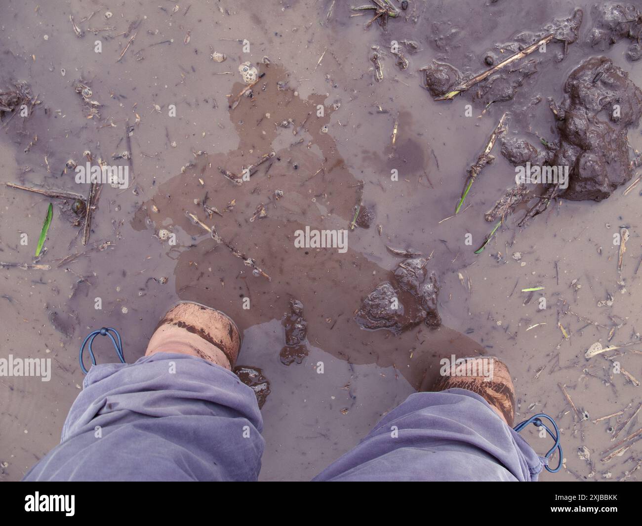 23 December 2010, Bogor, Indonesia: Feet immersed in the mud of a will ...