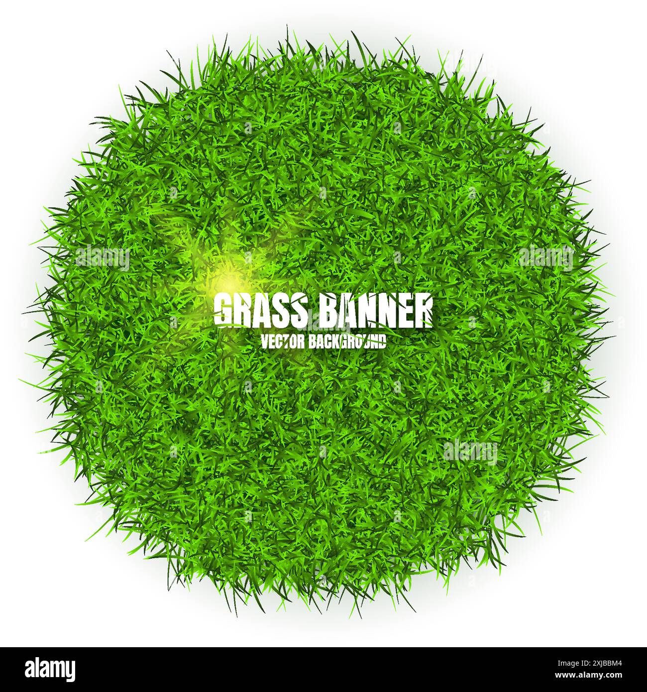 Green grass banners, background. Field, meadow texture, grassy ...