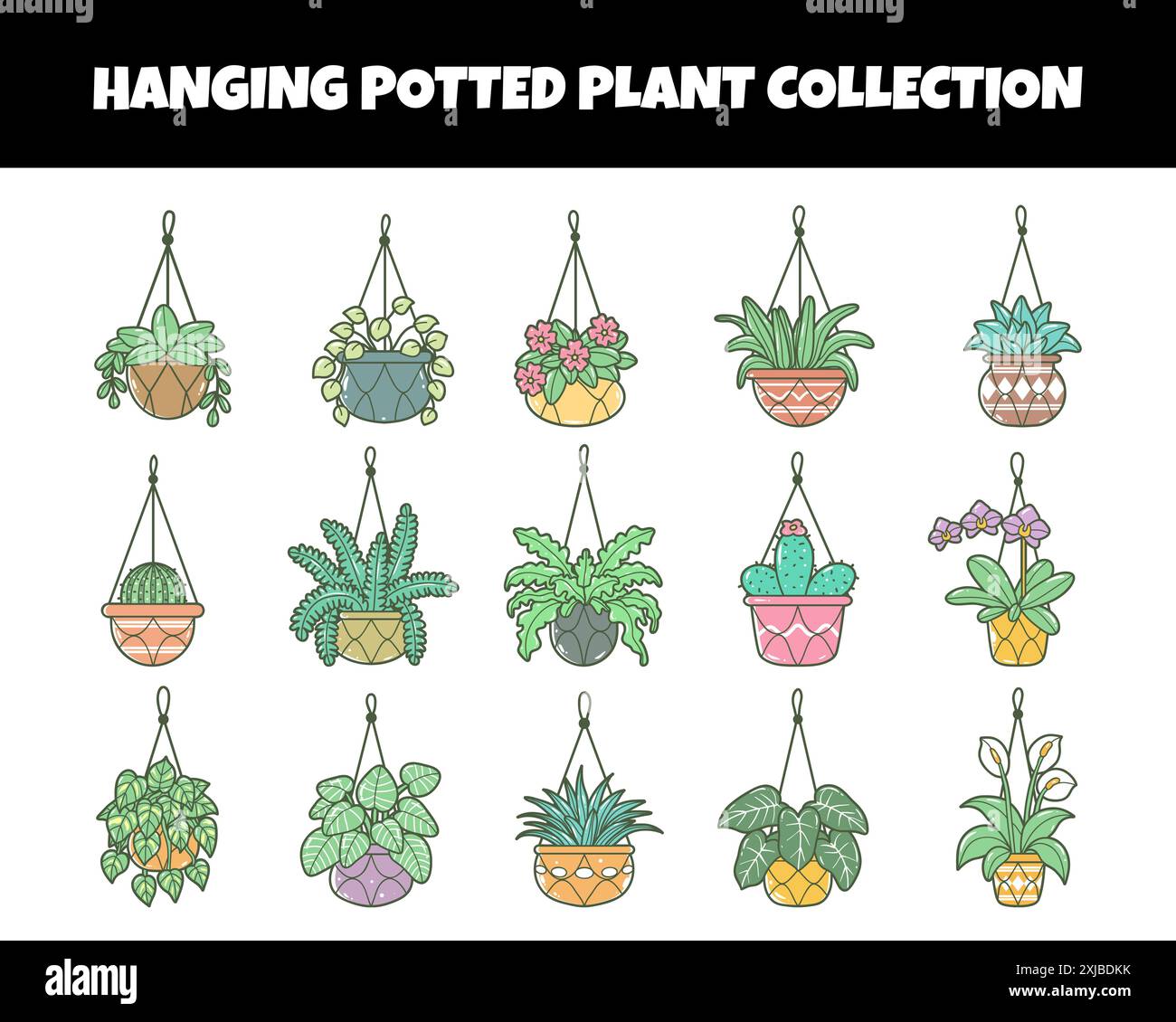 Hanging potted plants set vector illustration Stock Vector Image & Art - Alamy