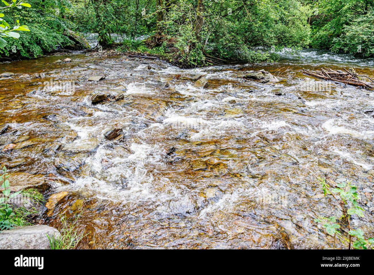Abundant stormwater overflowing into river in Warche Valley, flowing ...