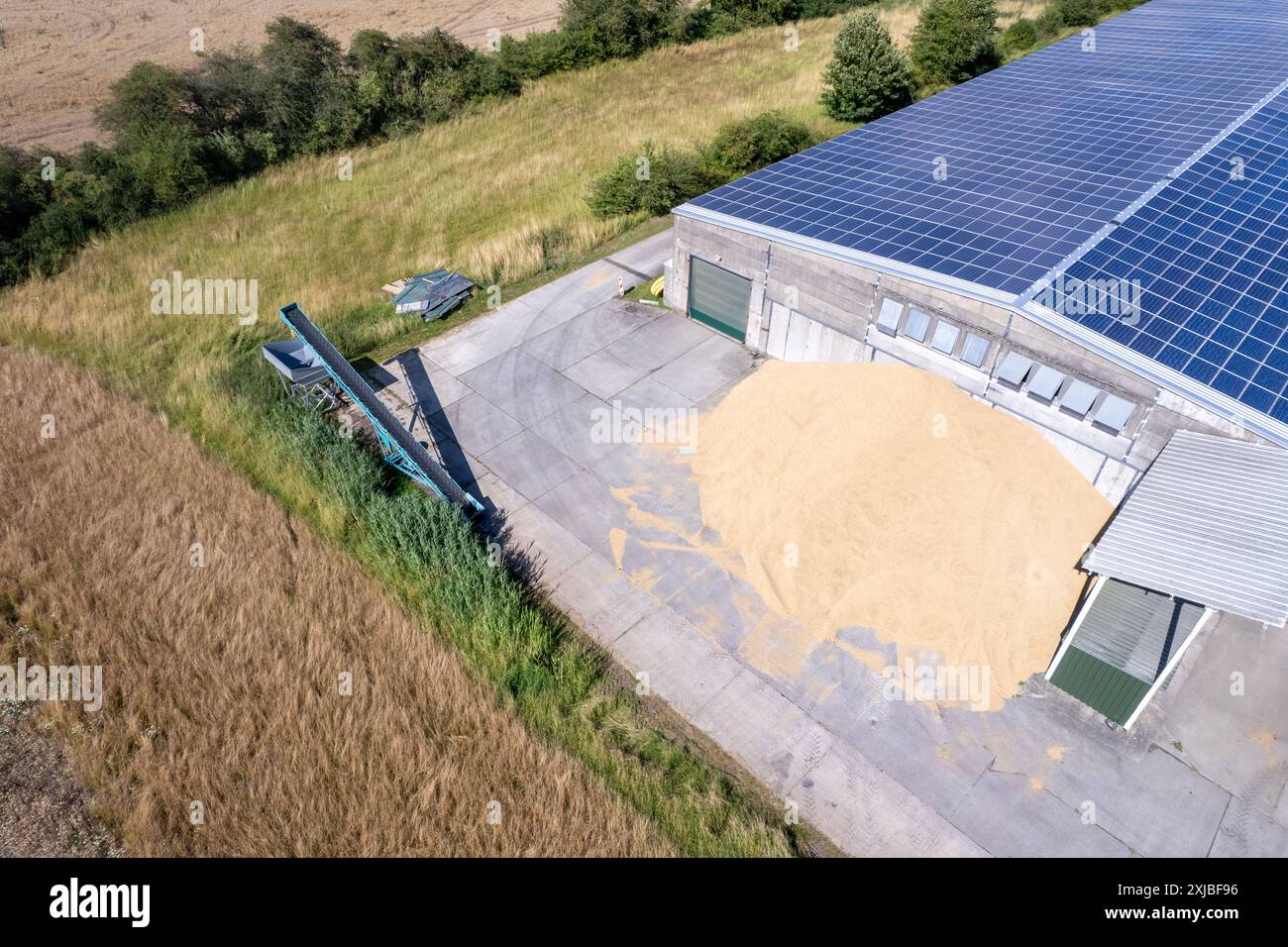 a mountain of grain lies in front of a silo Stock Photo - Alamy