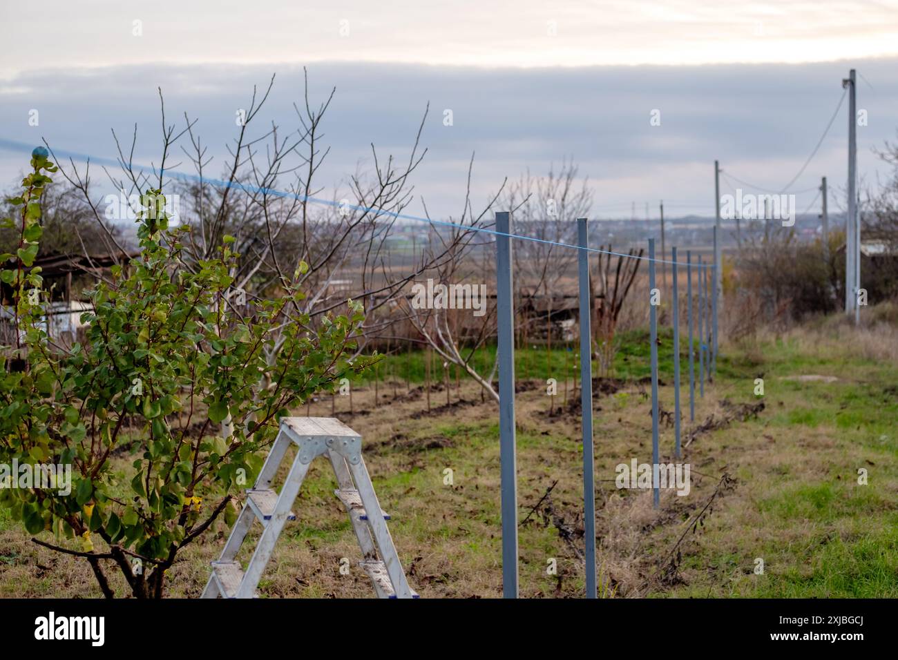 installation of a metal profile at the border of a garden plot ...