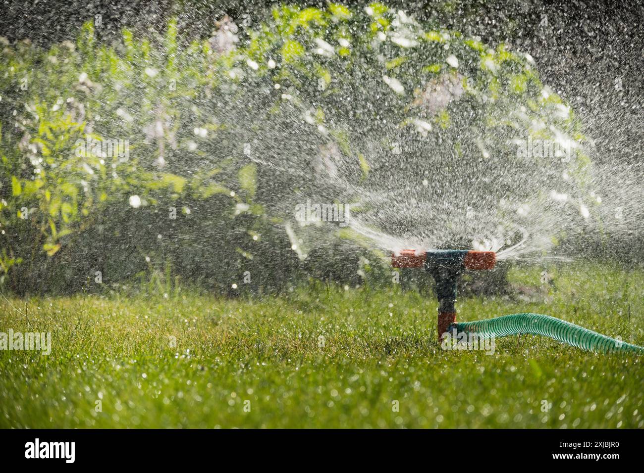 Watering garden with a hose at heat summer. Close up. Automatic smart ...