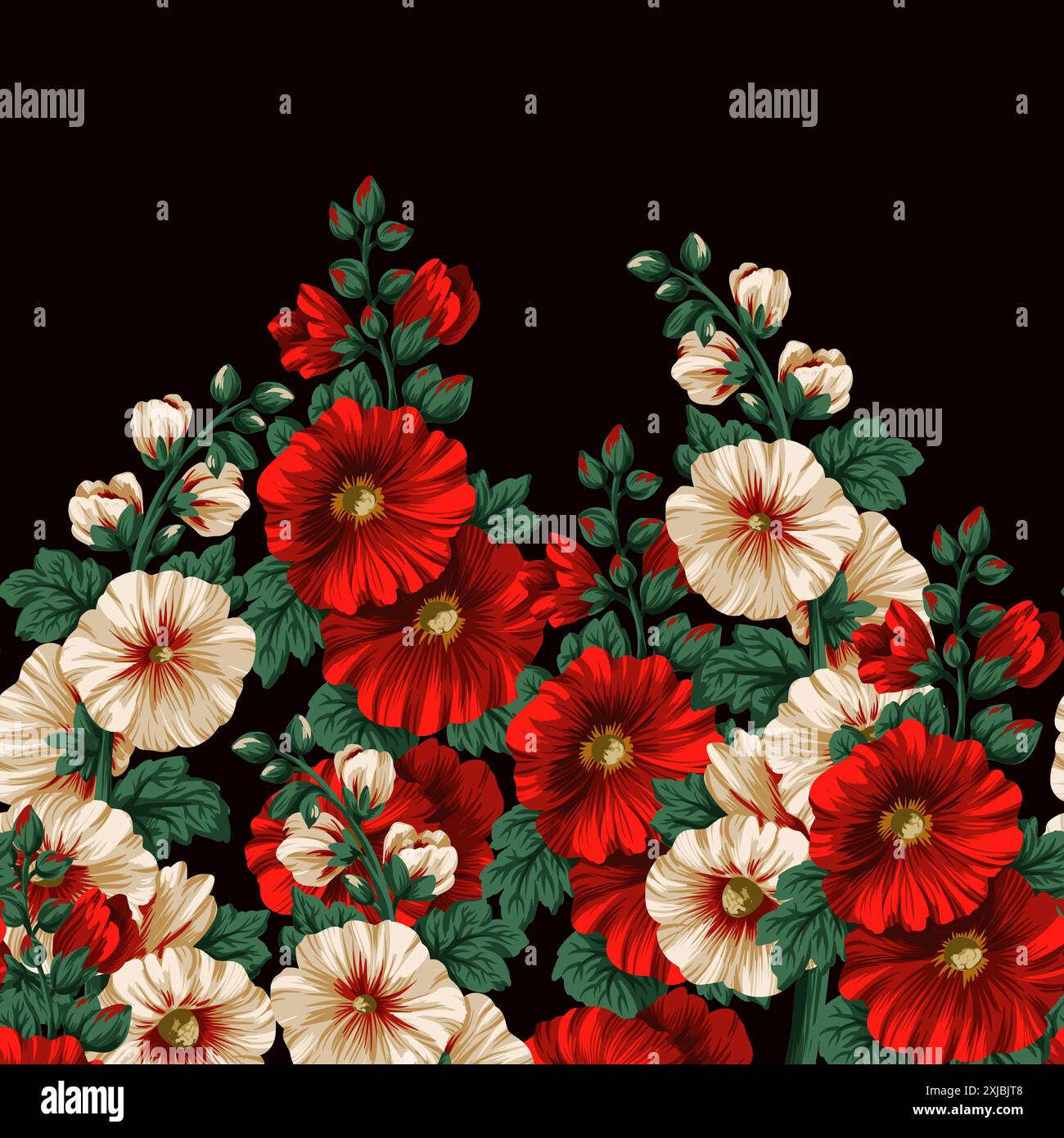 Mallow border hi-res stock photography and images - Alamy