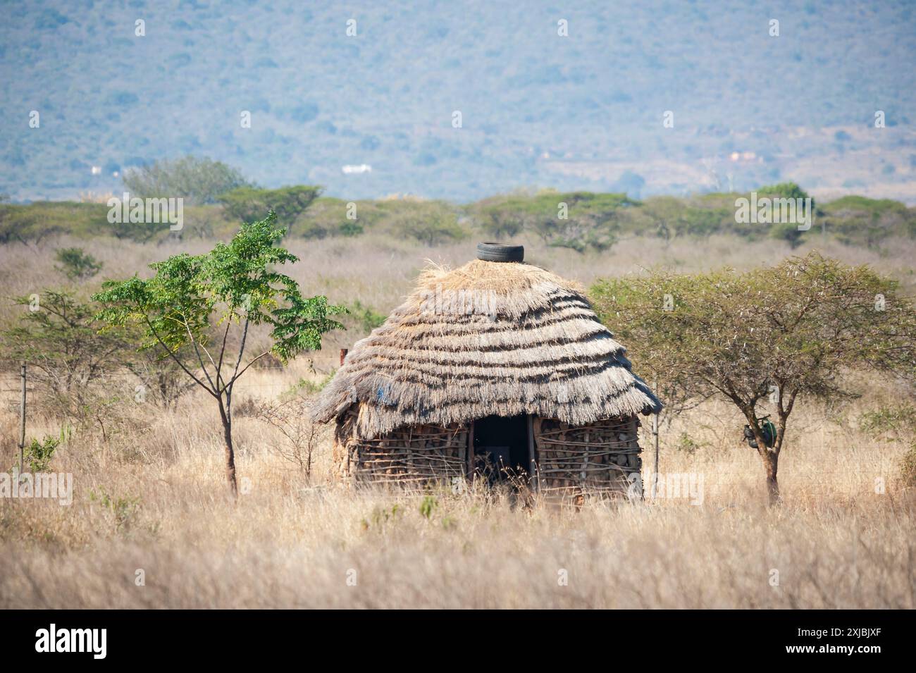 African square hut in wood and stones with thatched roof in the ...