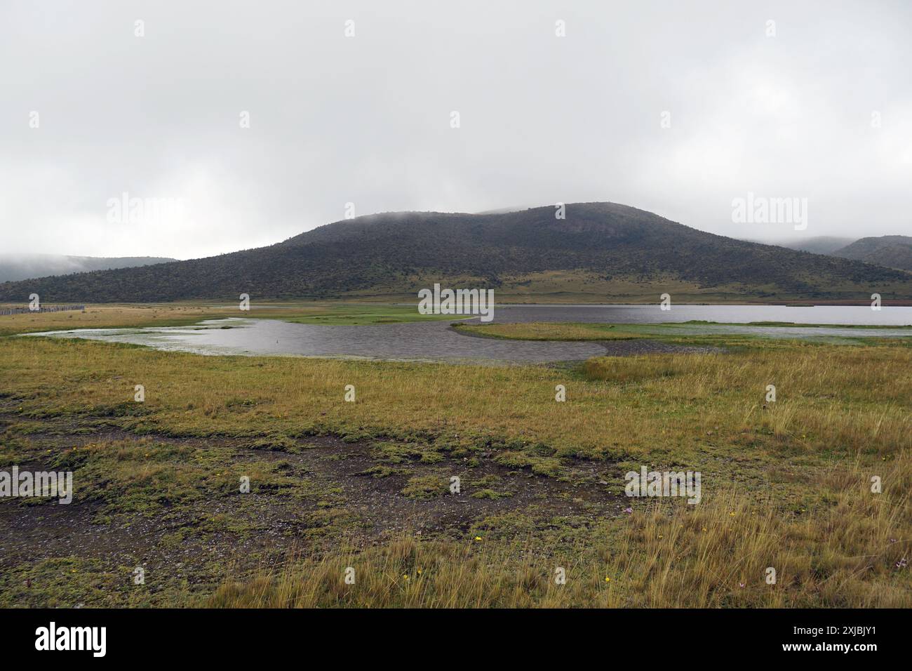Laguna De Limpiopungo, Limpiopungo Lagoon, Cotopaxi National Park ...