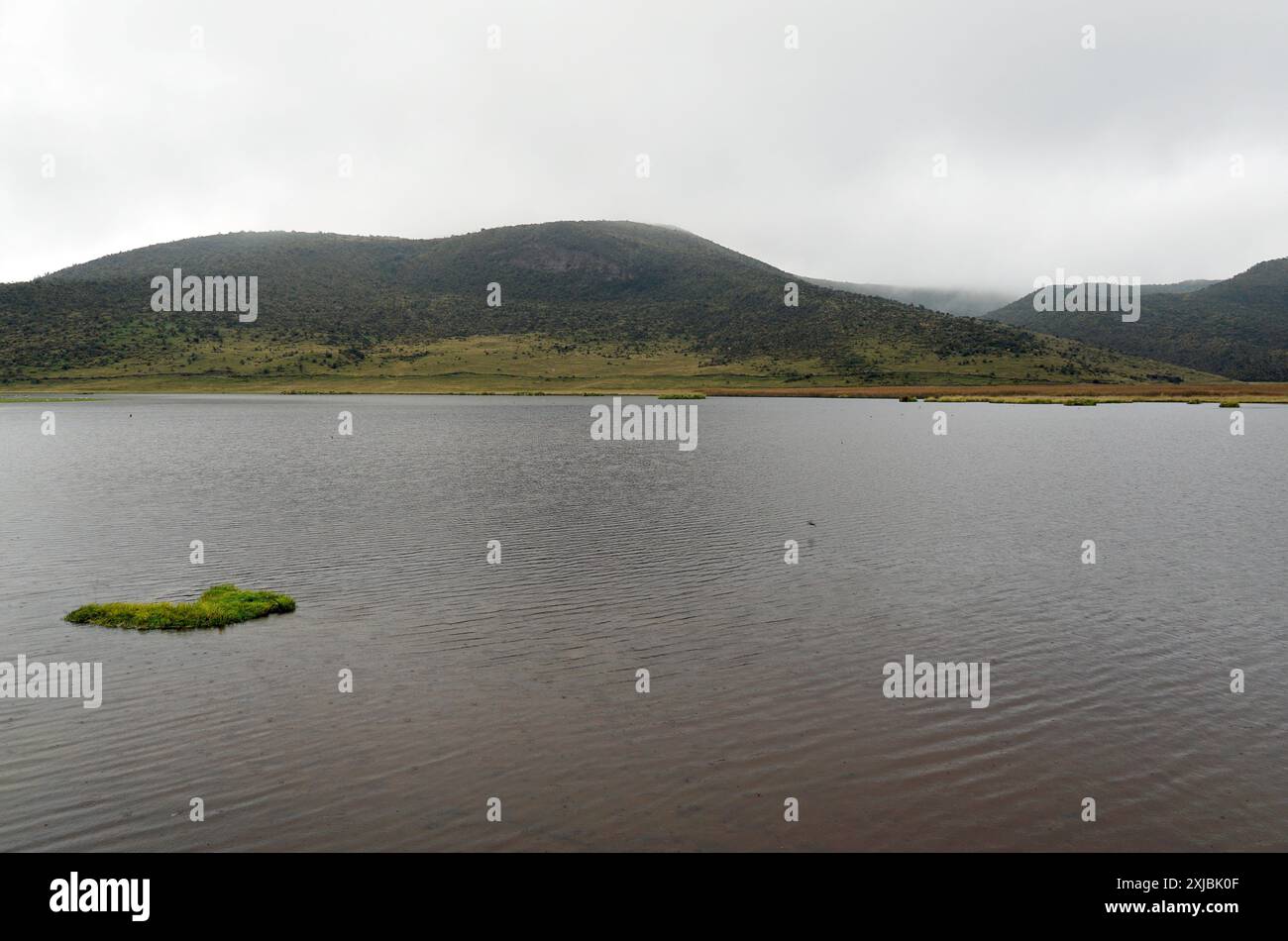 Laguna De Limpiopungo, Limpiopungo Lagoon, Cotopaxi National Park ...