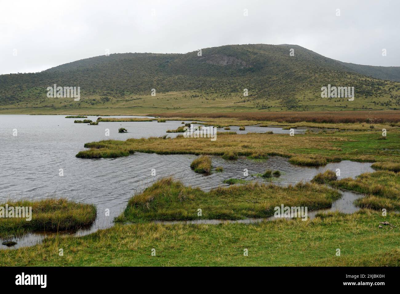 Laguna De Limpiopungo, Limpiopungo Lagoon, Cotopaxi National Park ...