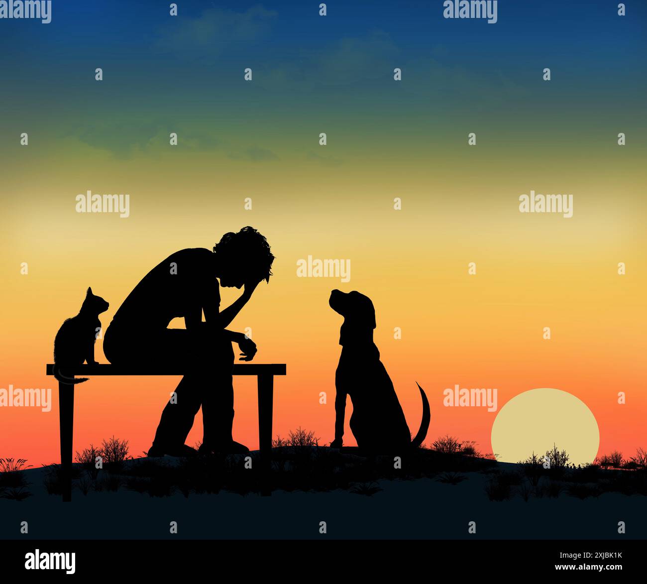 Pets like this dog and cat are on hand to show emotional support for ...