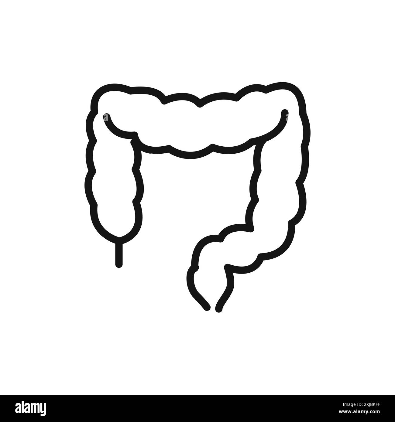 Large intestine icon linear vector graphics sign or symbol set for web ...