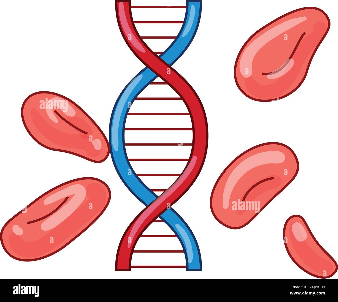 Illustration featuring a dna double helix surrounded by red blood cells ...