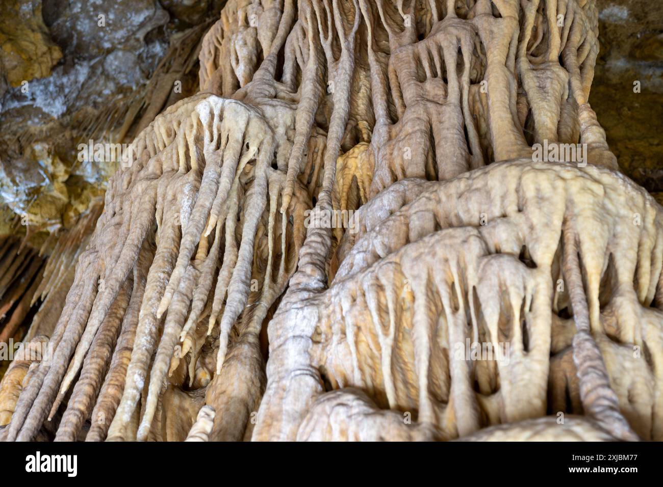 A detailed view of stalactites in a cave, characterized by elongated ...