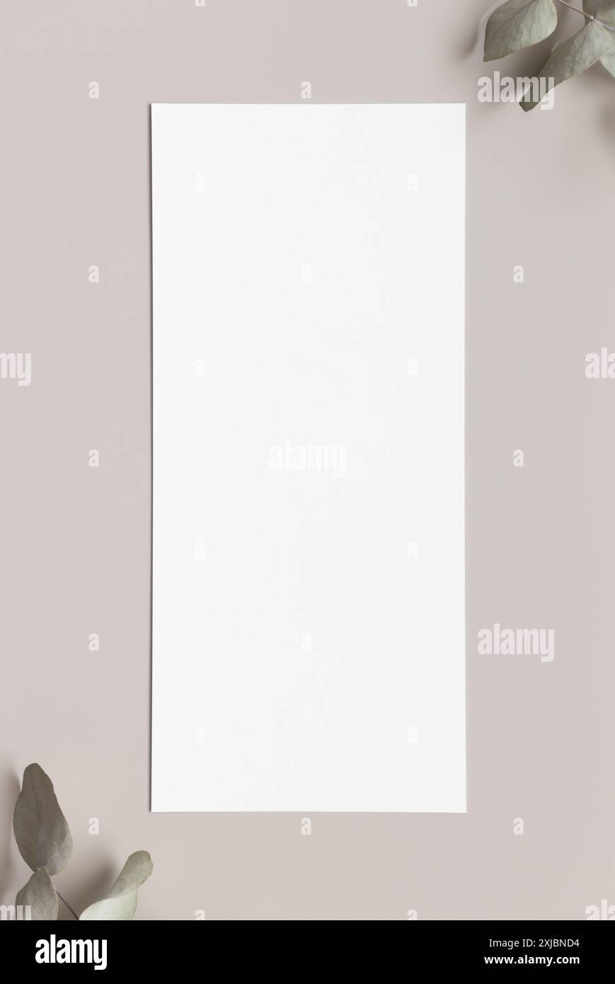 Menu card mockup with eucalyptus branches. 5x5 ratio Stock Photo - Alamy