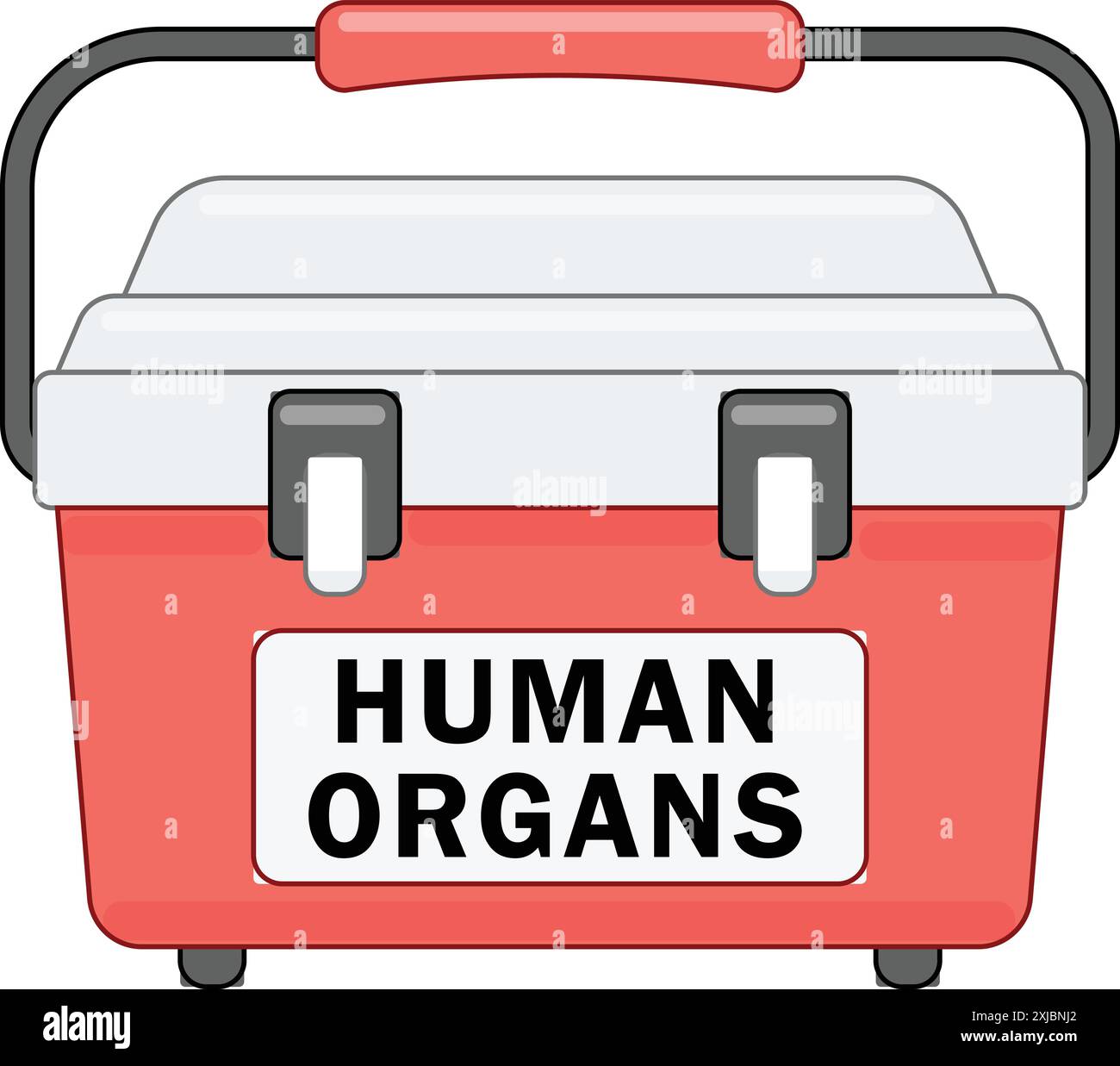 Human organ transport box Stock Vector Images - Alamy