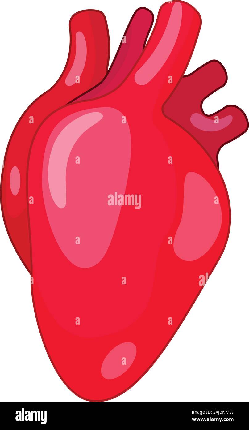 Illustration of a healthy human heart pumping blood, representing ...
