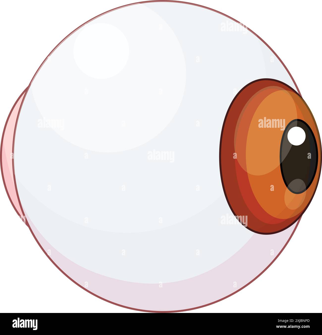 Cartoon illustration of an eyeball looking sideways Stock Vector Image ...