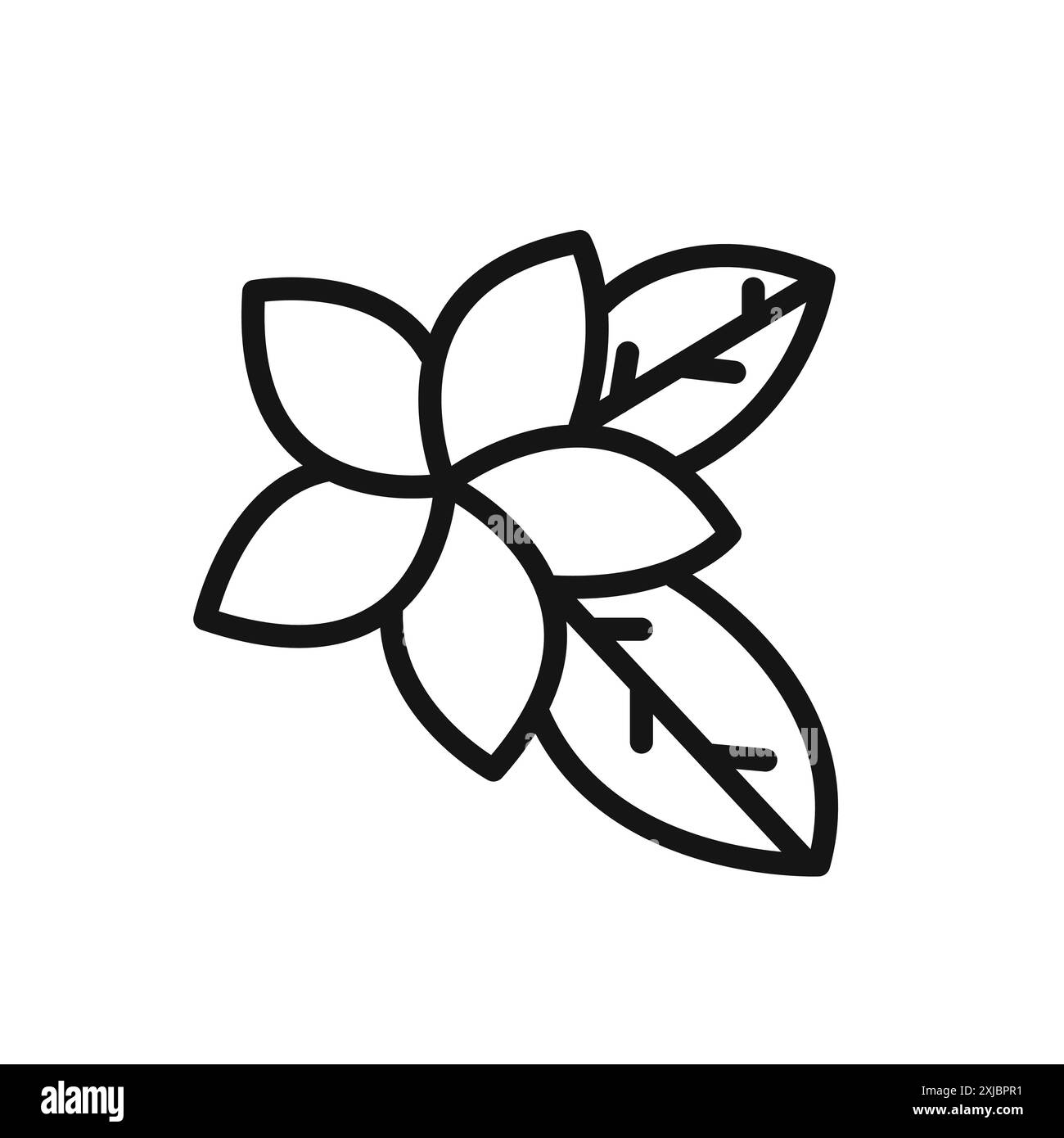 plumeria icon linear vector graphics sign or symbol set for web app ui Stock Vector Image & Art ...