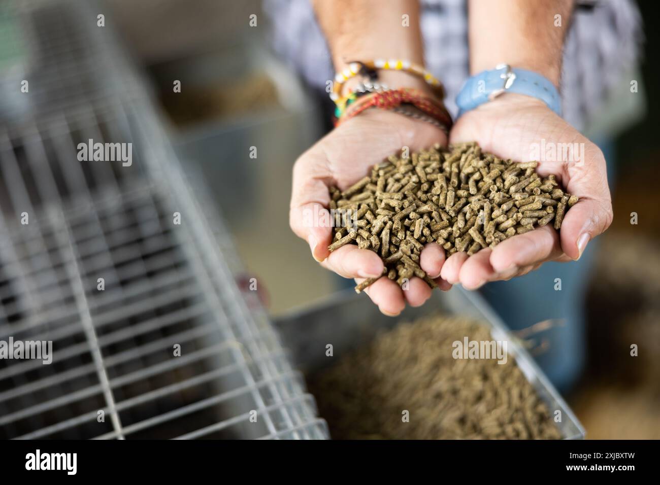 Animal feed in farmer hands Stock Photo - Alamy