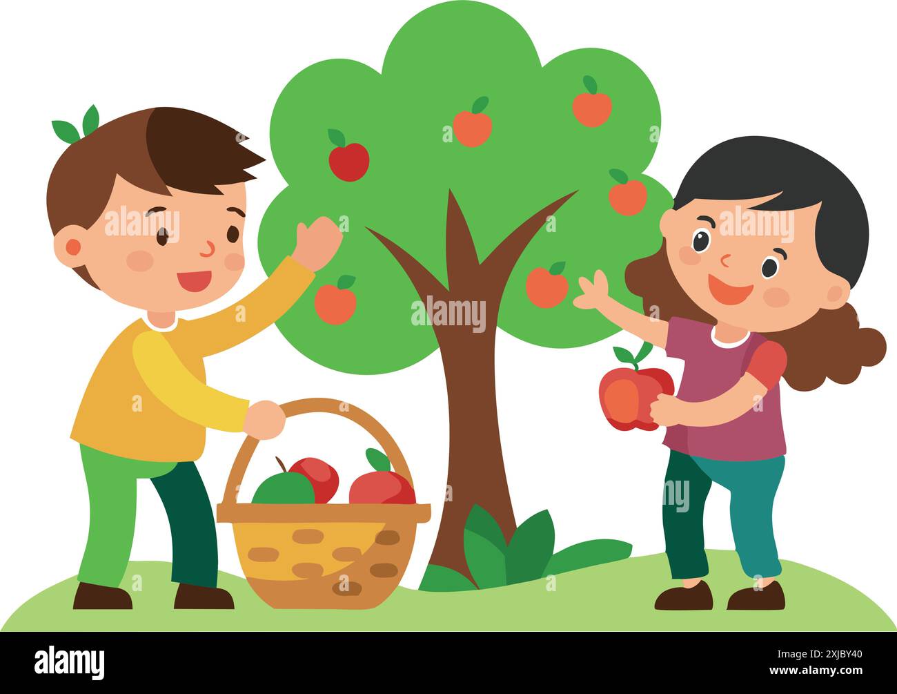 Kids picking apples from a tree and placing them in a basket Stock ...