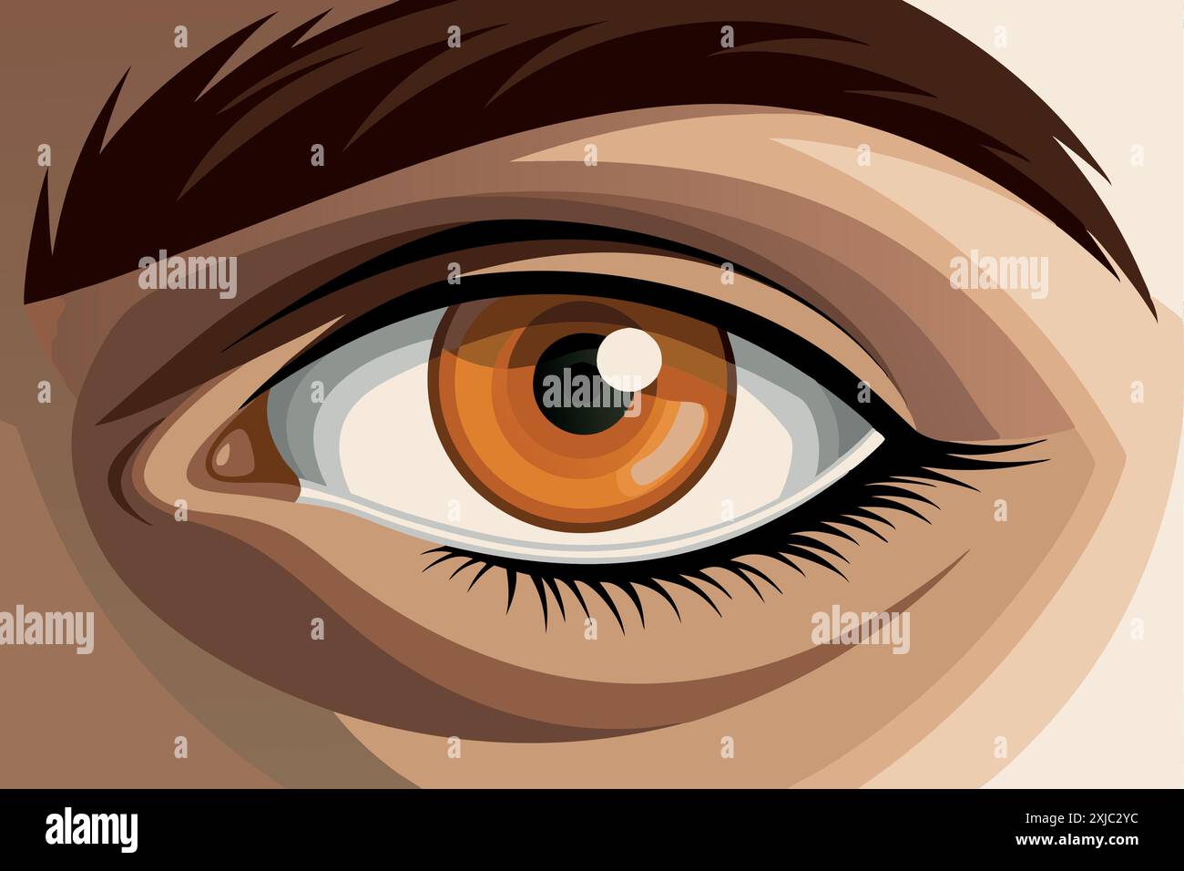 Very detailed eyelashes Stock Vector Images - Alamy