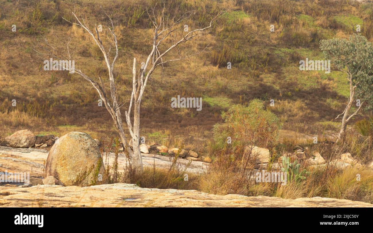 Granite rocks and boulders landscape scene with a dead tree nature ...