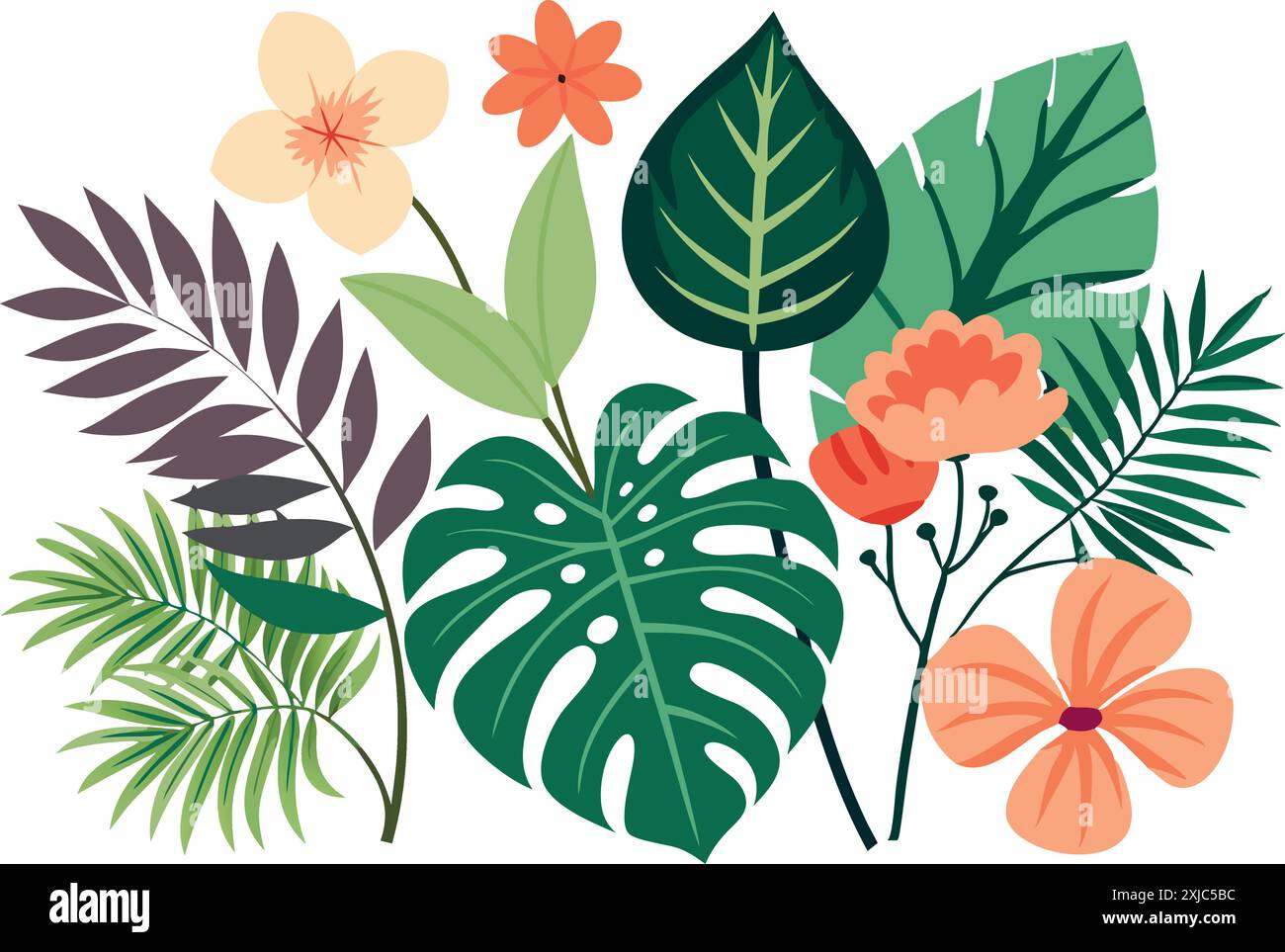 Tropicalillustration hi-res stock photography and images - Alamy