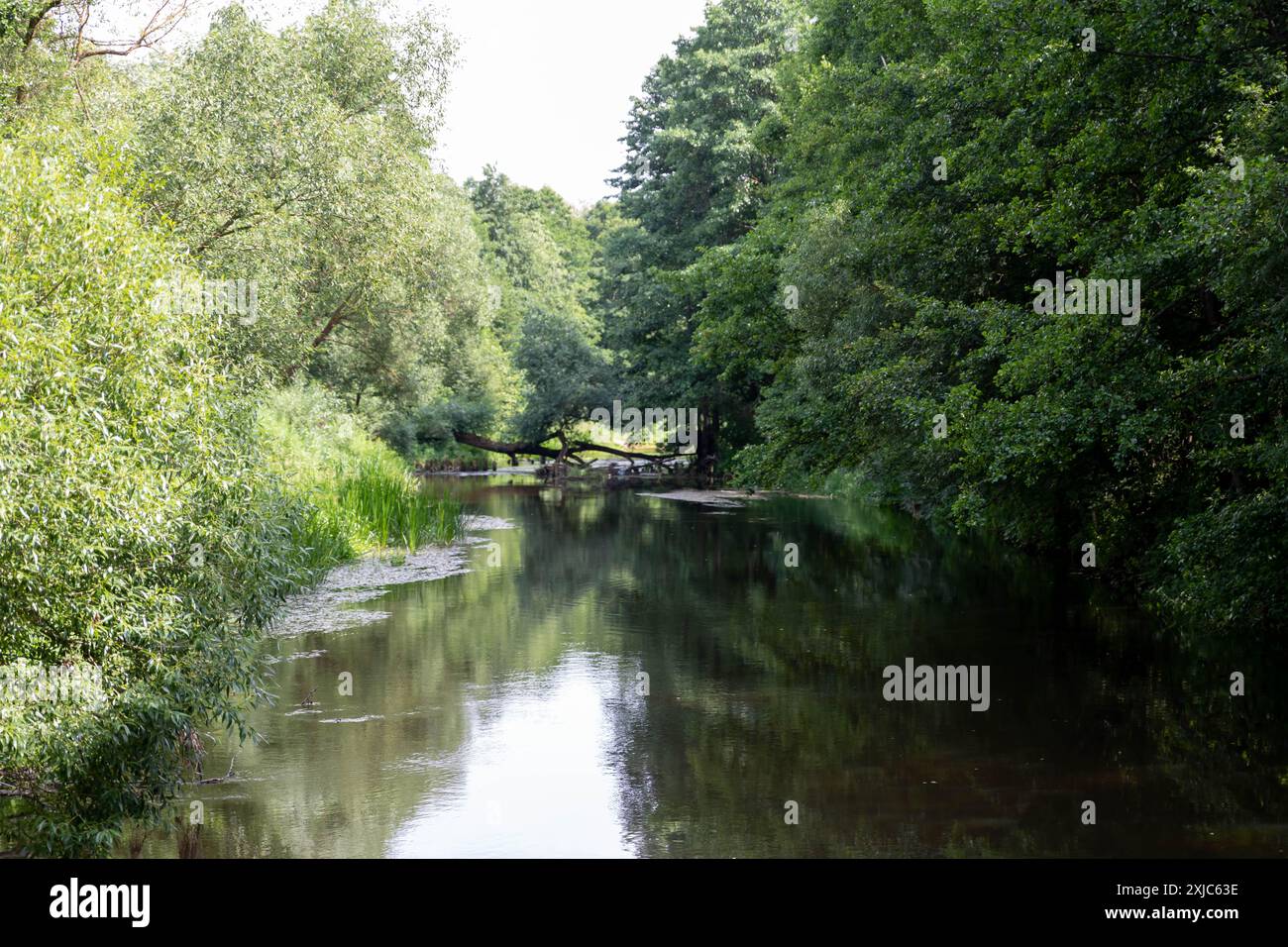 Mountain landscape full slow clouds hi-res stock photography and images ...